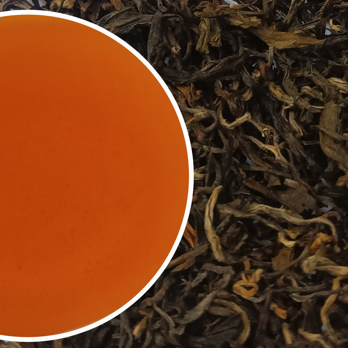Black Darjeeling Teas - Nathmull of Darjeeling